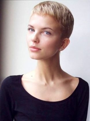 20 Different Versions of the Pixie